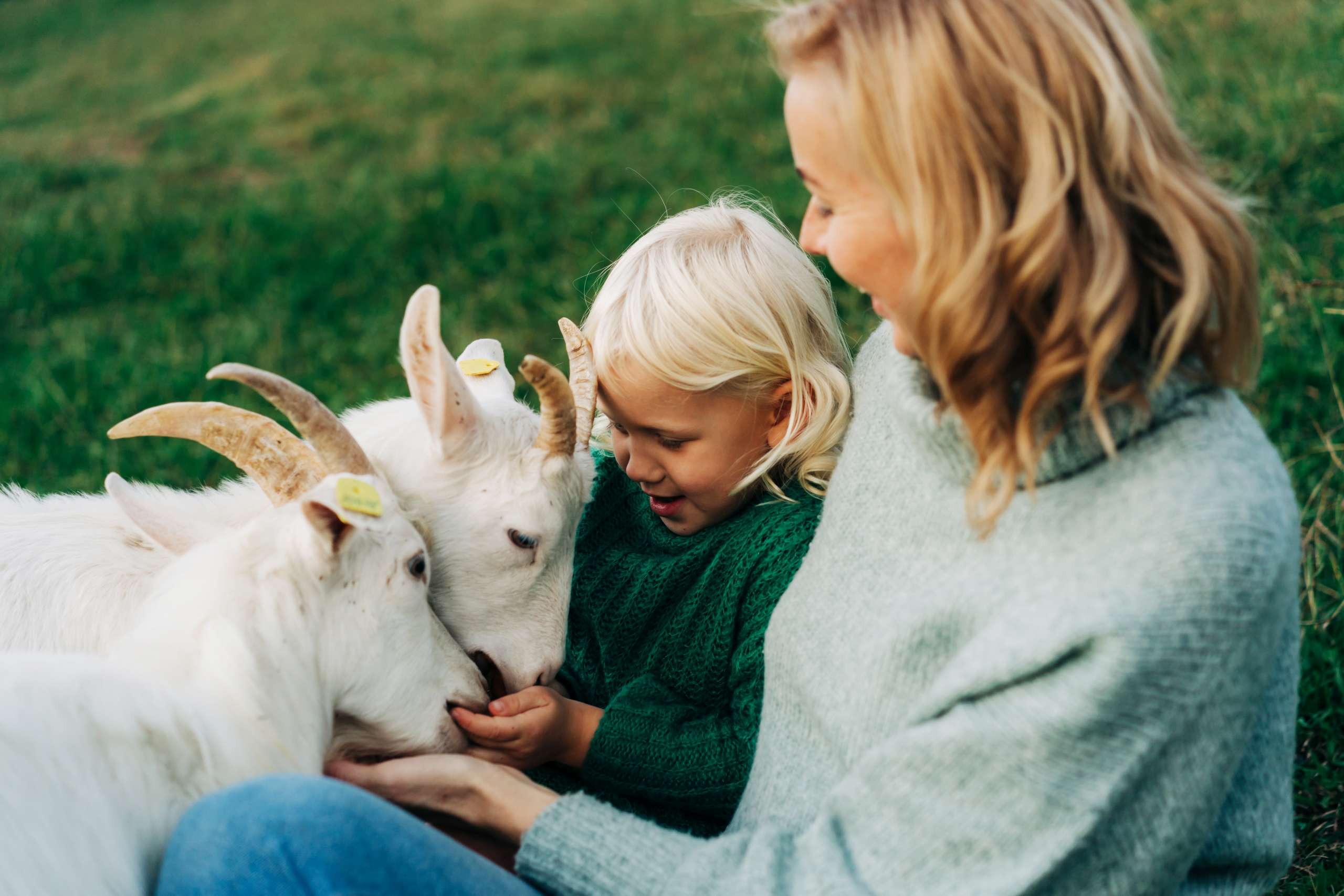 The Best Pets on Farm • Podere Passatore